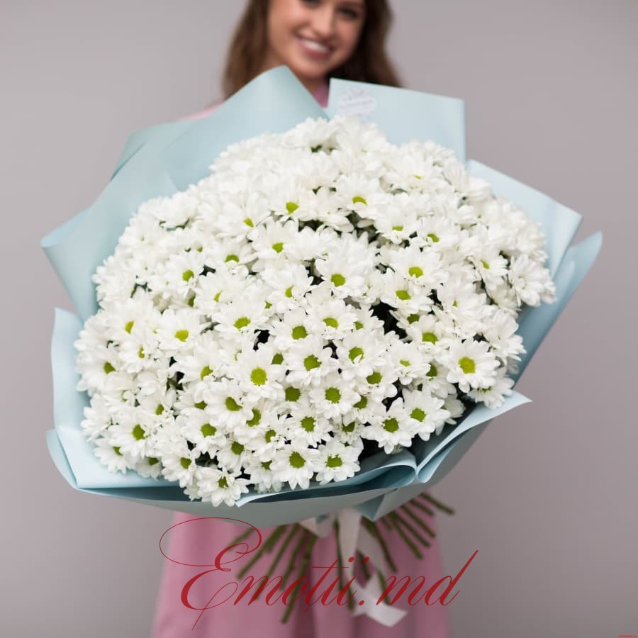31 Crizanteme Albe in Buchet